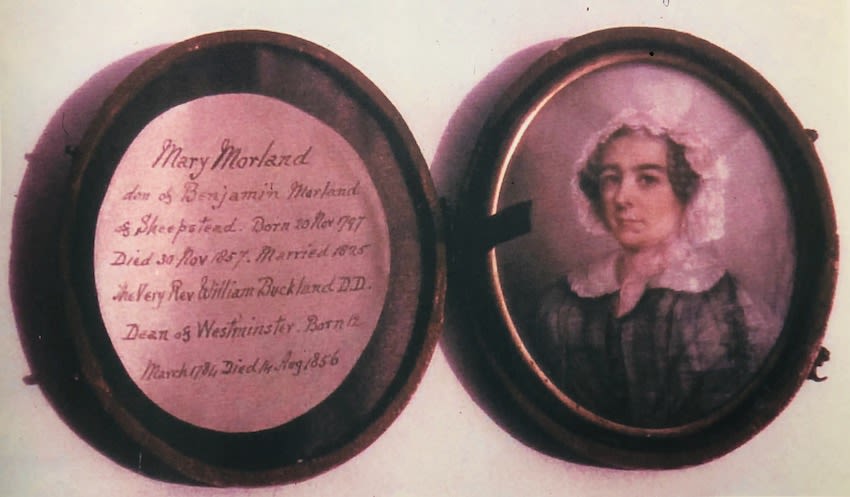 Mary Morland | Oxford University Museum of Natural History