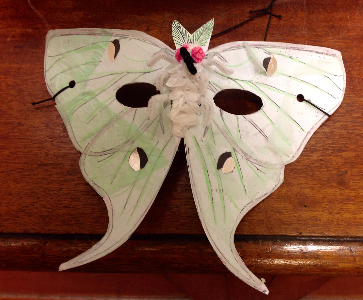 Moth Mask | Oxford University Museum of Natural History