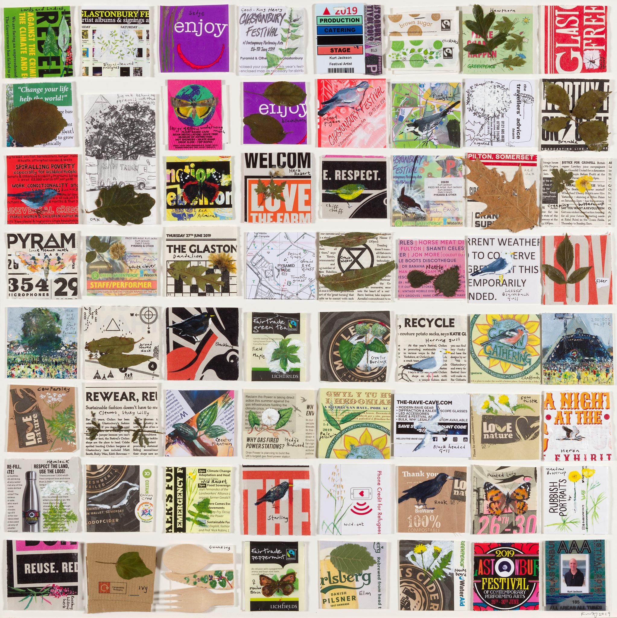 Biodiversity Online Pyramid Stage | Oxford University Museum of Natural ...