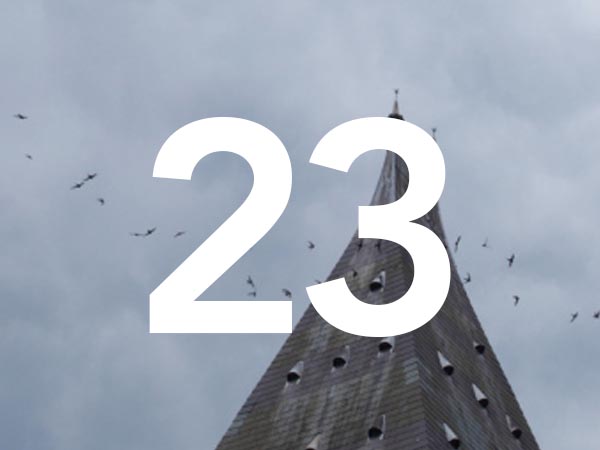 Swifts Diary 2023 | Oxford University Museum of Natural History